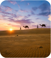 Home | Paryatan Tours and Travels